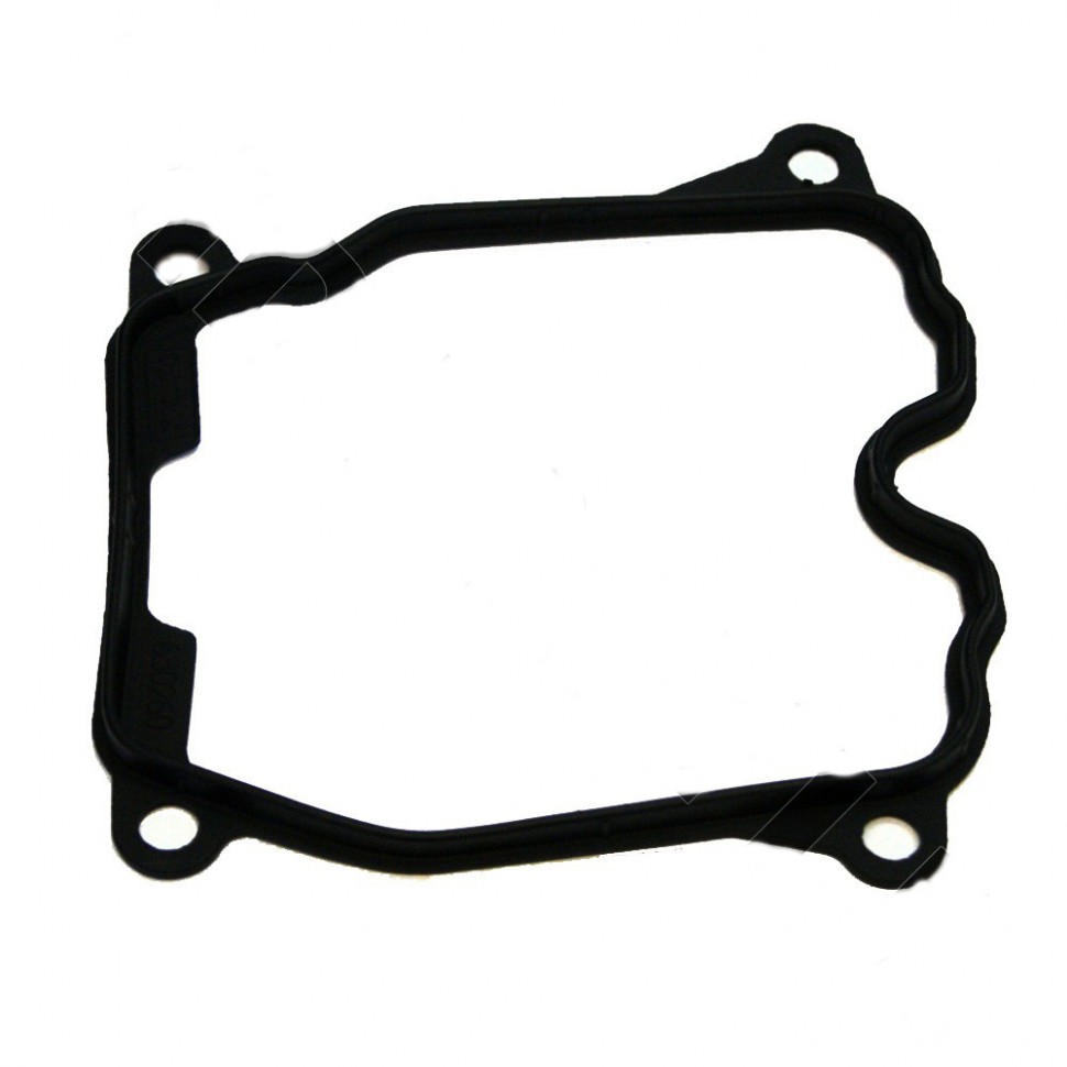 420630265 Прокладка клапанной крышки 420630262 420630260